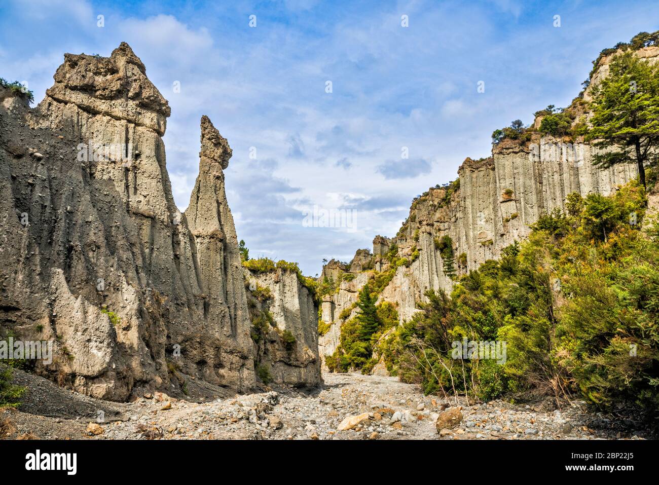 Aorangi forest park hi-res stock photography and images - Alamy