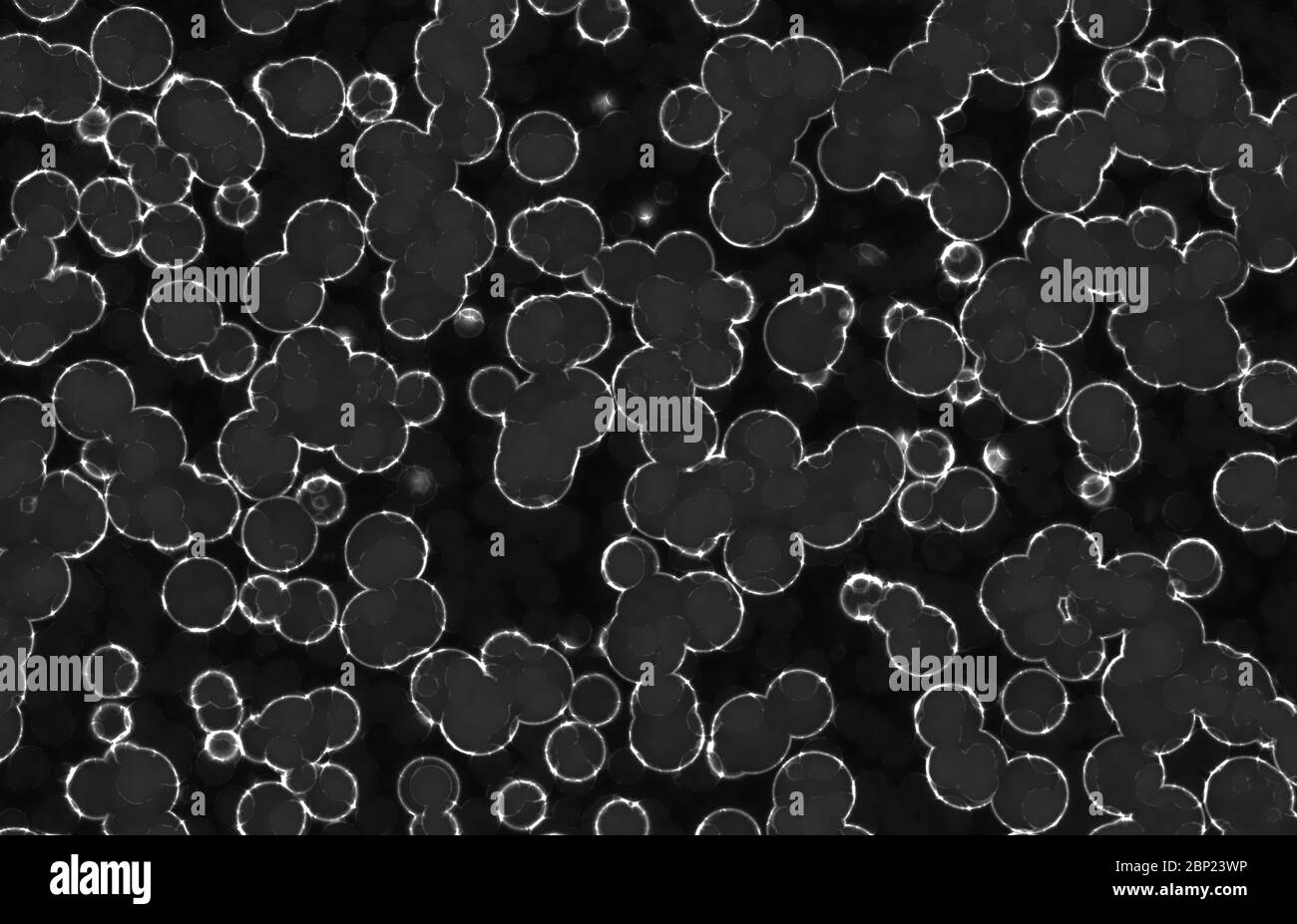 abstract glow cells Stock Photo - Alamy