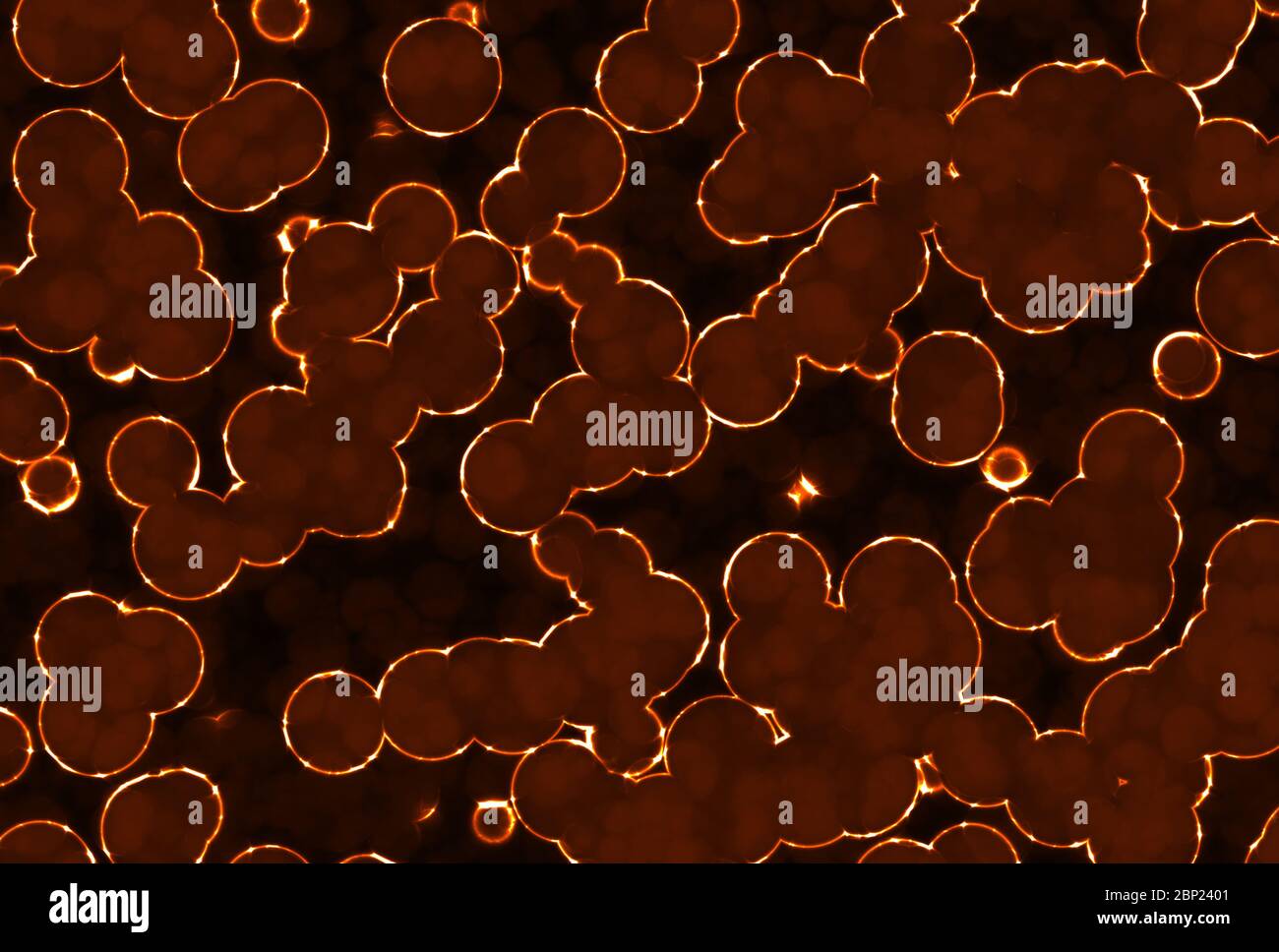 abstract glow cells Stock Photo - Alamy