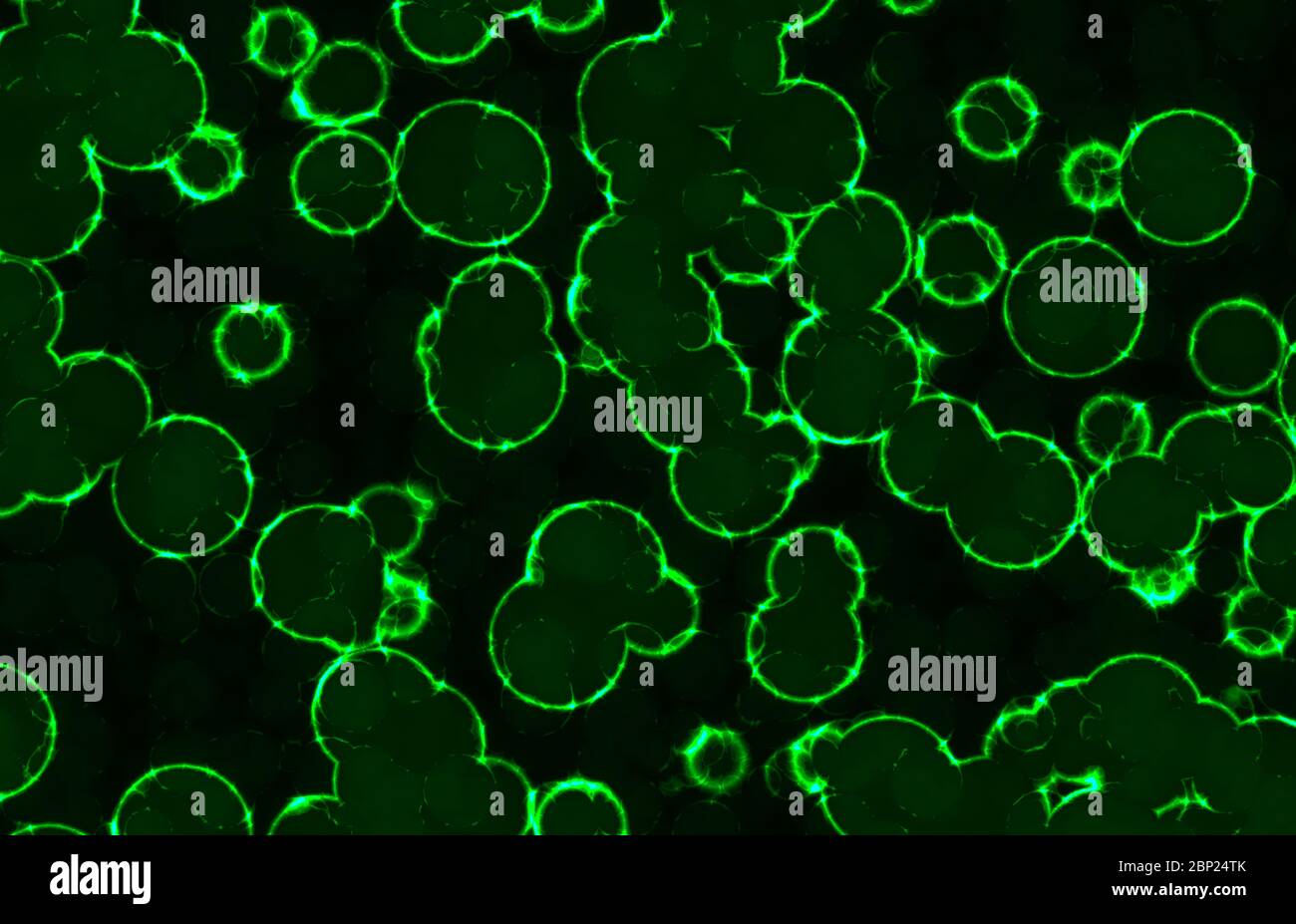 abstract glow cells Stock Photo - Alamy