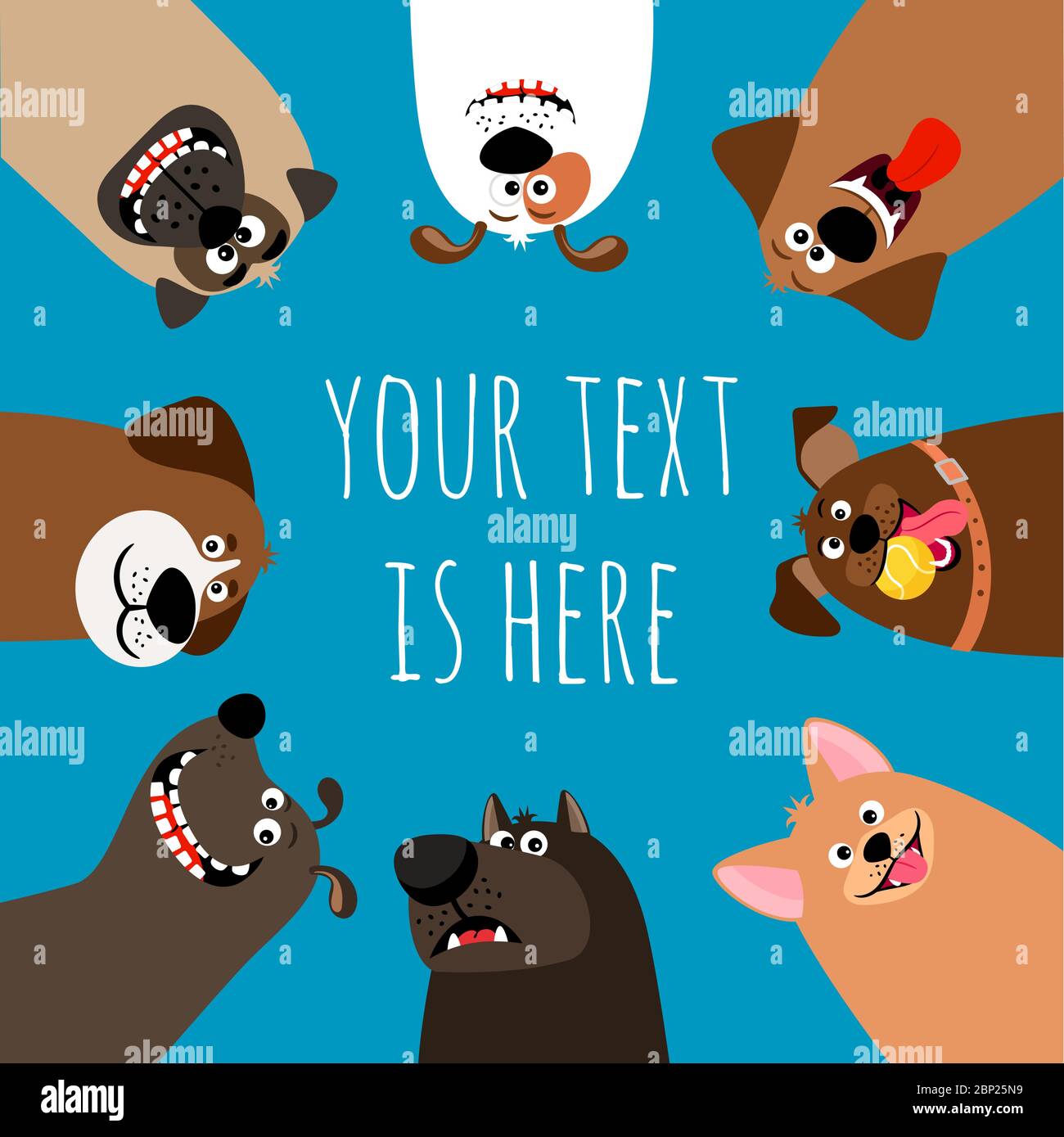 Dogs heads circle. Friendship concept card with dog set vector ...