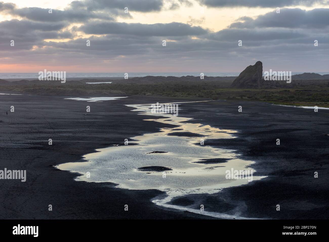 Auckland west coast new zealand hi-res stock photography and images - Alamy