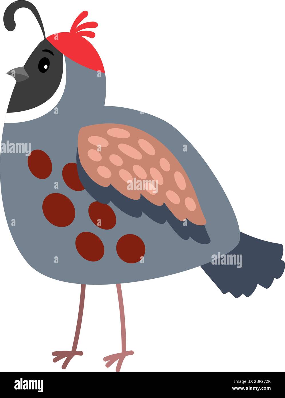 Quail cartoon bird icon in gray and red colors, isolated on white ...