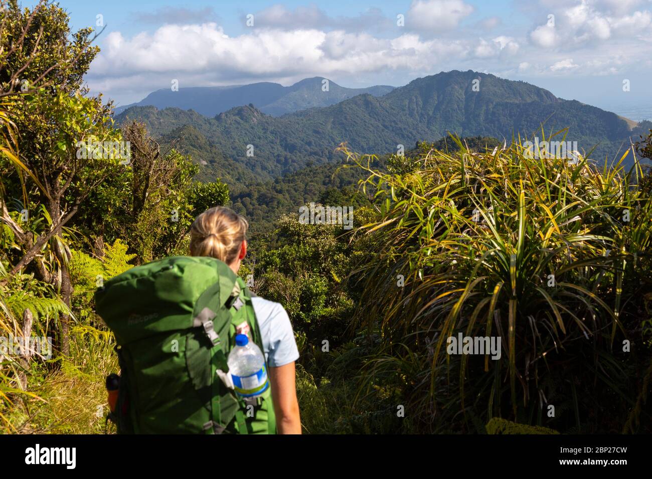 Tuahu track hi-res stock photography and images - Alamy