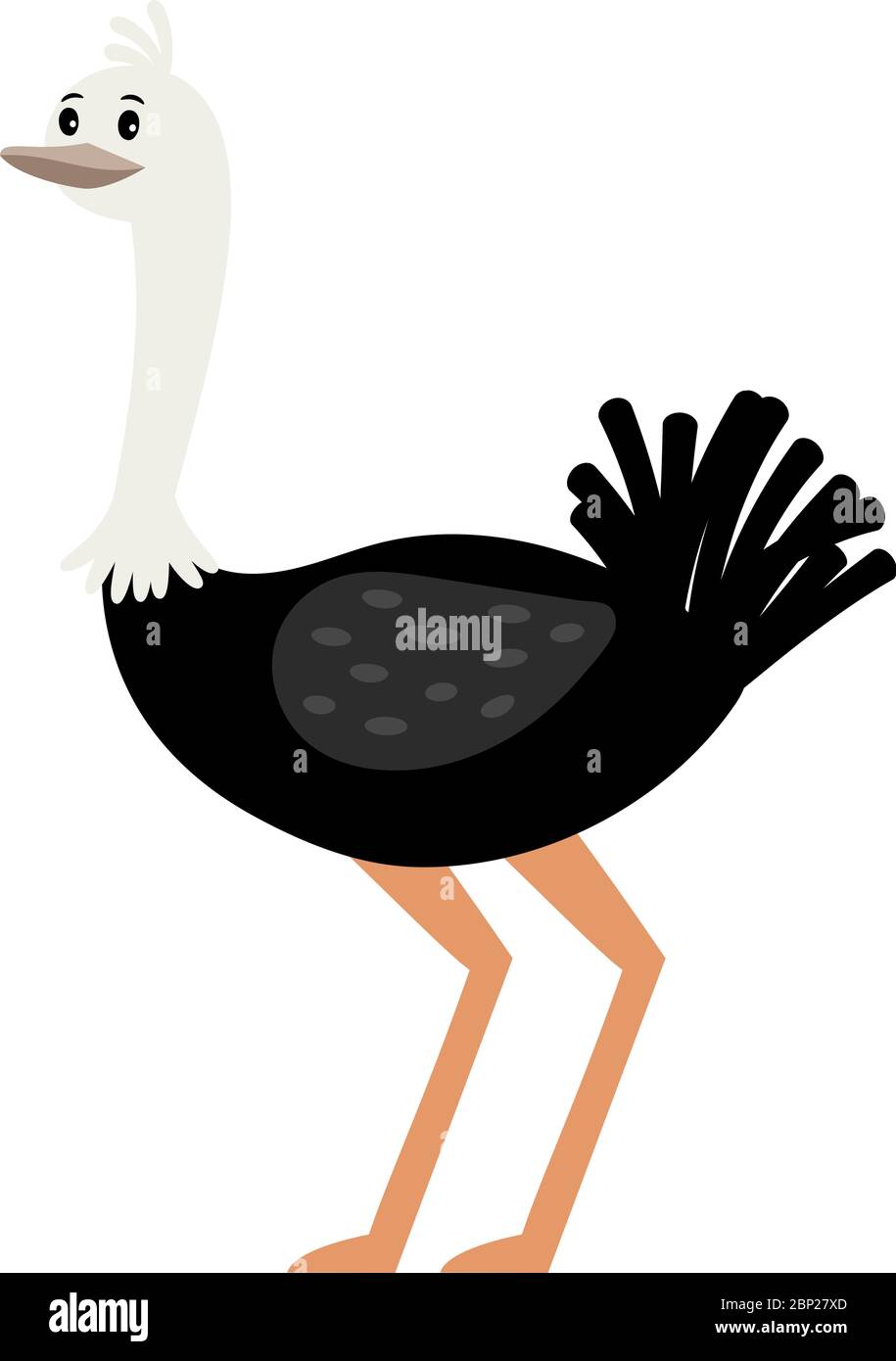 Ostrich cartoon hi-res stock photography and images - Alamy