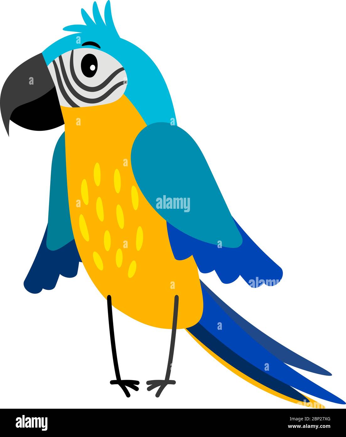 Parrot colorful cartoon bird icon isolated on white background, vector ...