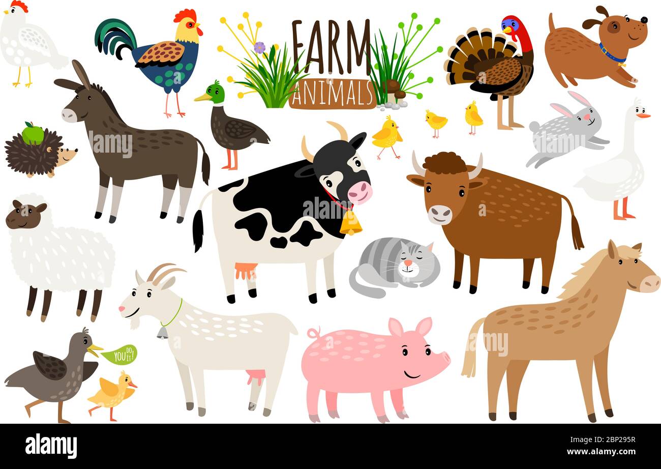 Farm animals. Domestic farm animal collection isolated on white ...