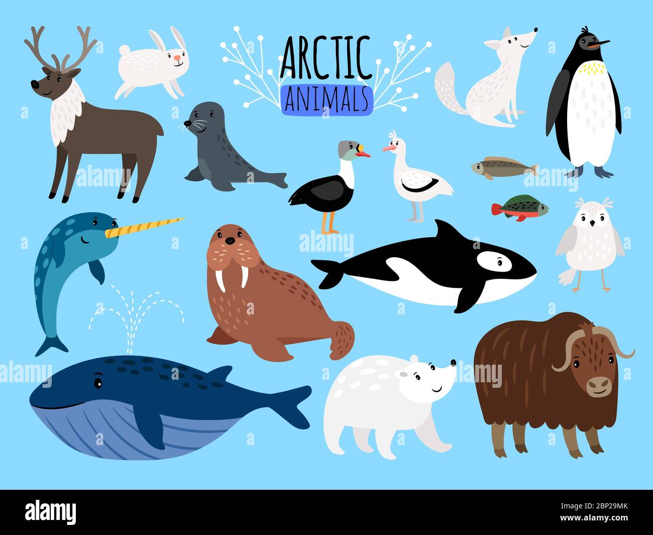 Arctic animals. Cute animal set of Arctic or Alaska vector illustration ...