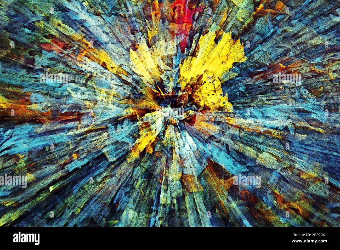 Zoom nature hi-res stock photography and images - Alamy