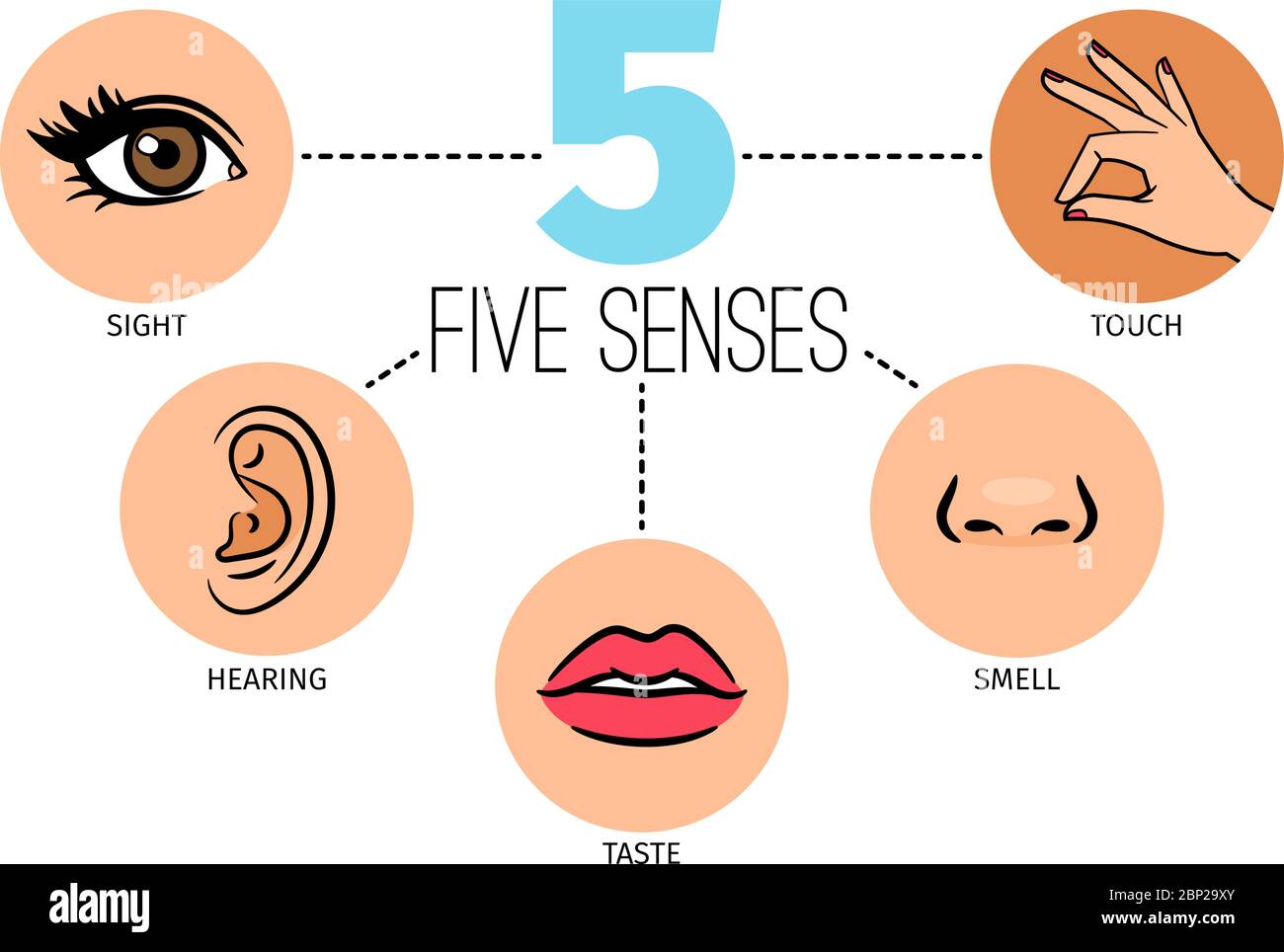 Touch And Feel Clipart