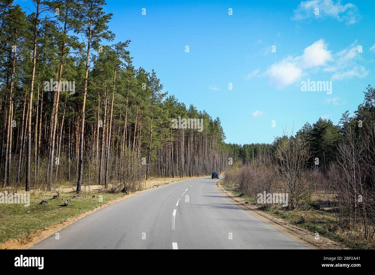 Road through to the forest Stock Photo - Alamy