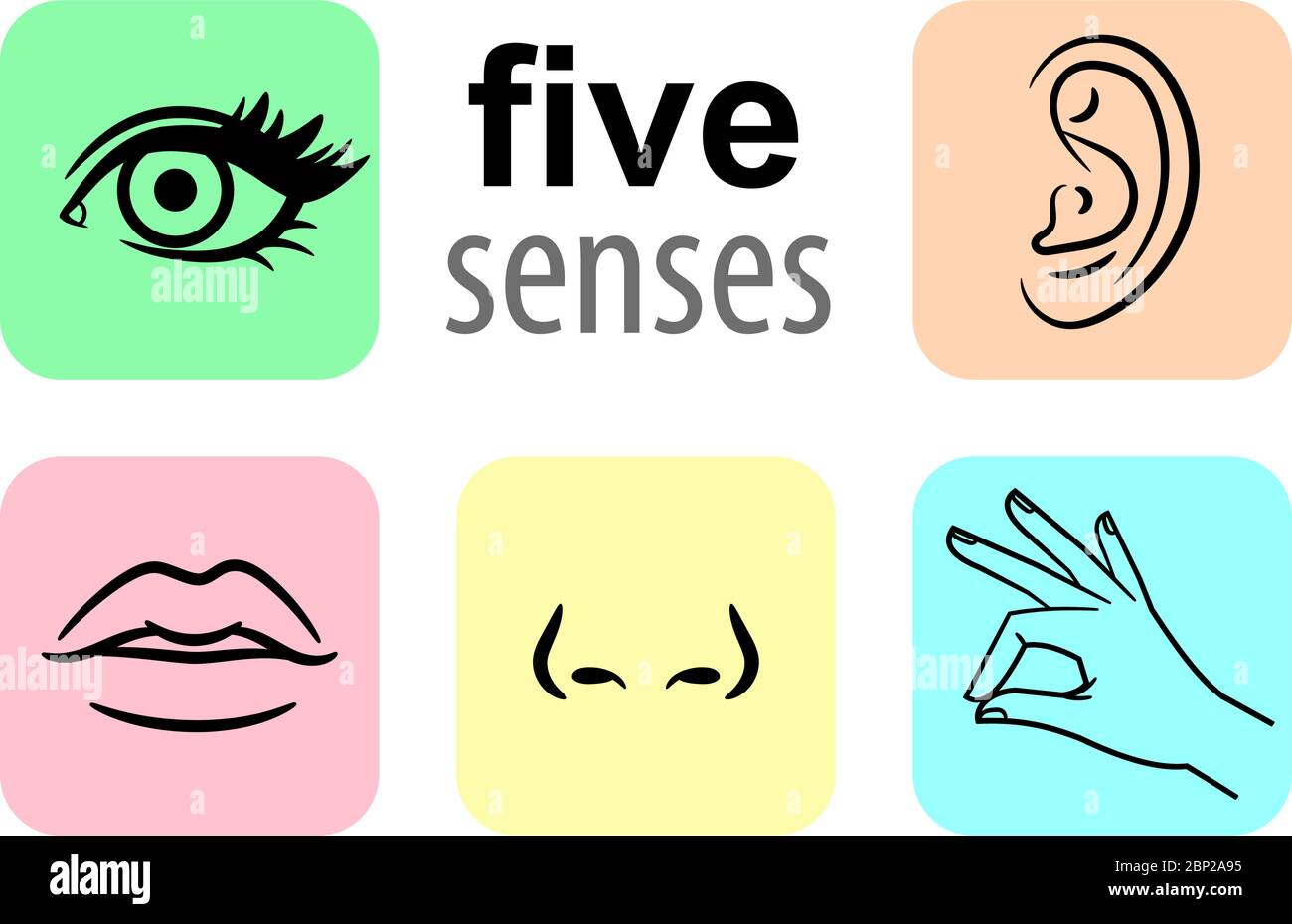 Five Senses And Clipart