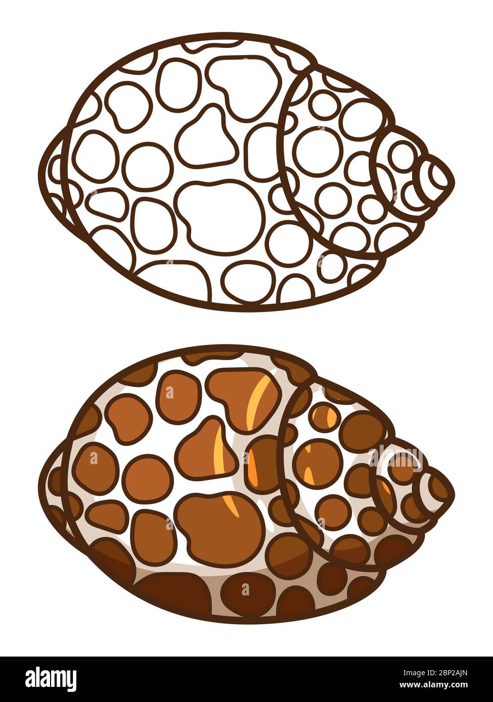 Kids coloring page with cartoon and outline sea shell isolated on white ...