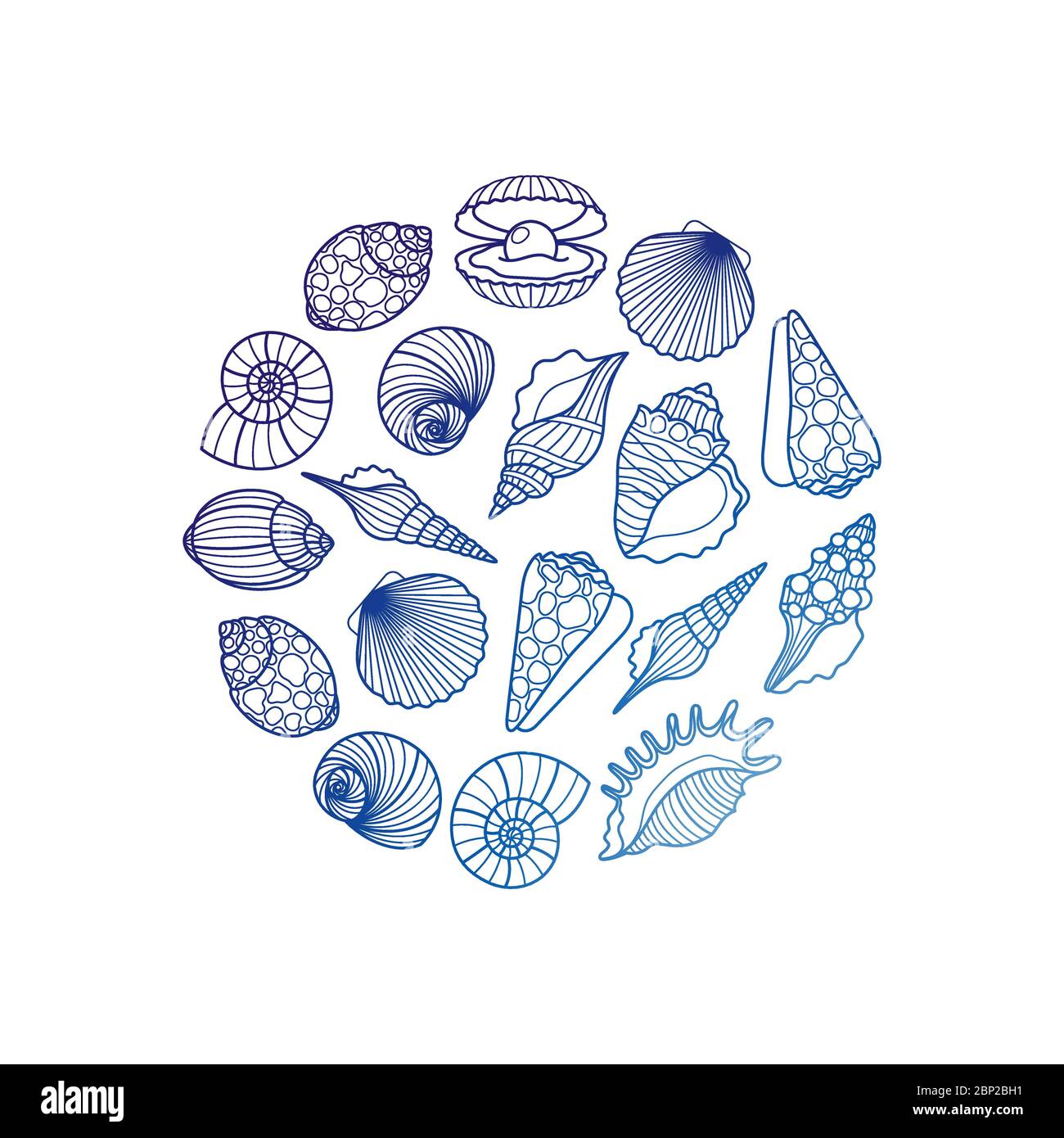 Hand drawn sea shell round emblem vector illustration Stock Vector ...