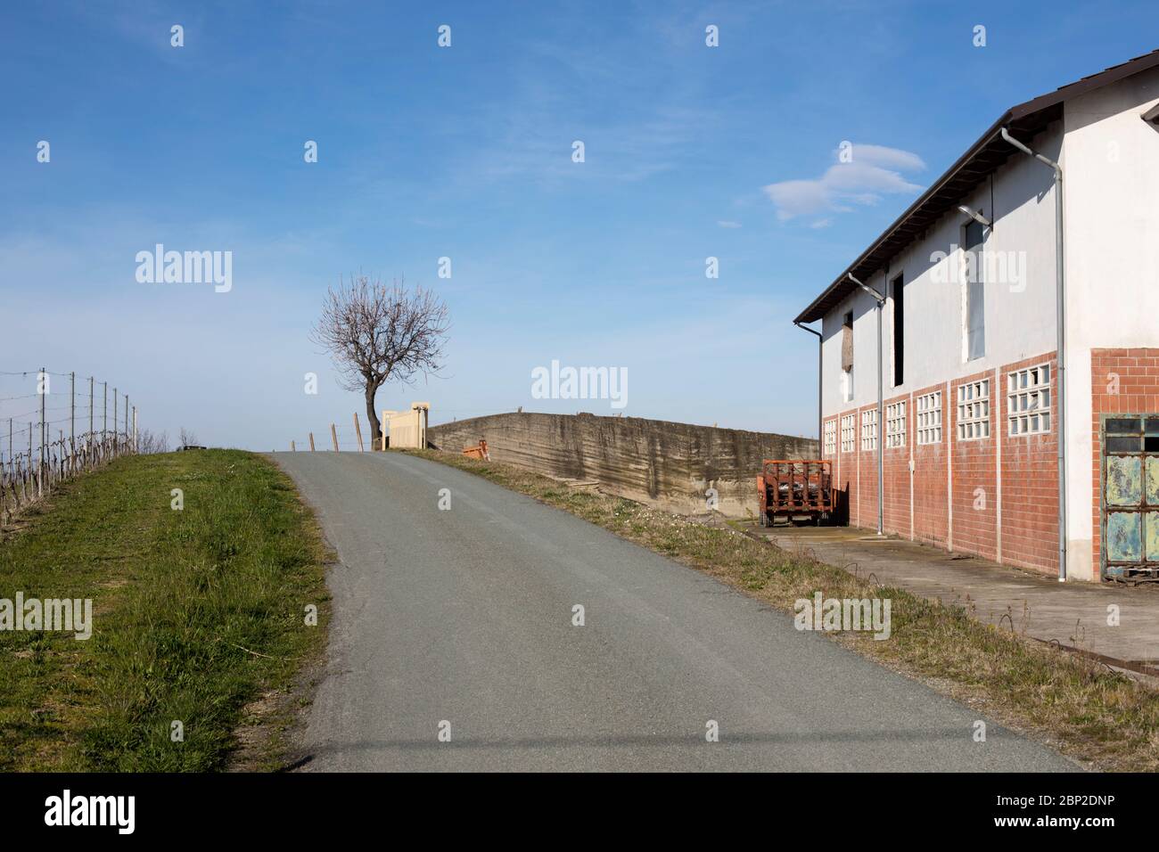 Iconic rural scenes near Cassinasco in Piedmont, Langhe, Italy Stock ...