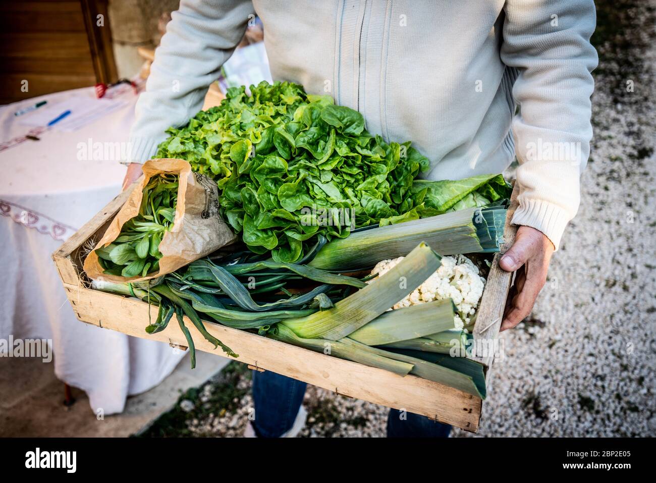 Local producers grouping together to sell their production of fresh ...