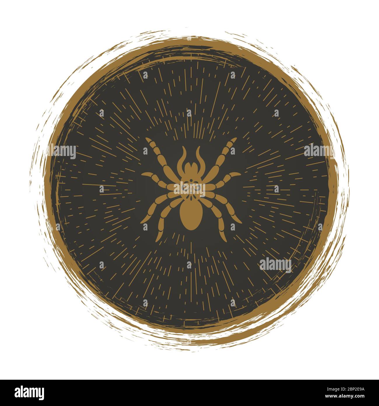 Vintage spider logo design. Insect hipter style emblem, vector ...