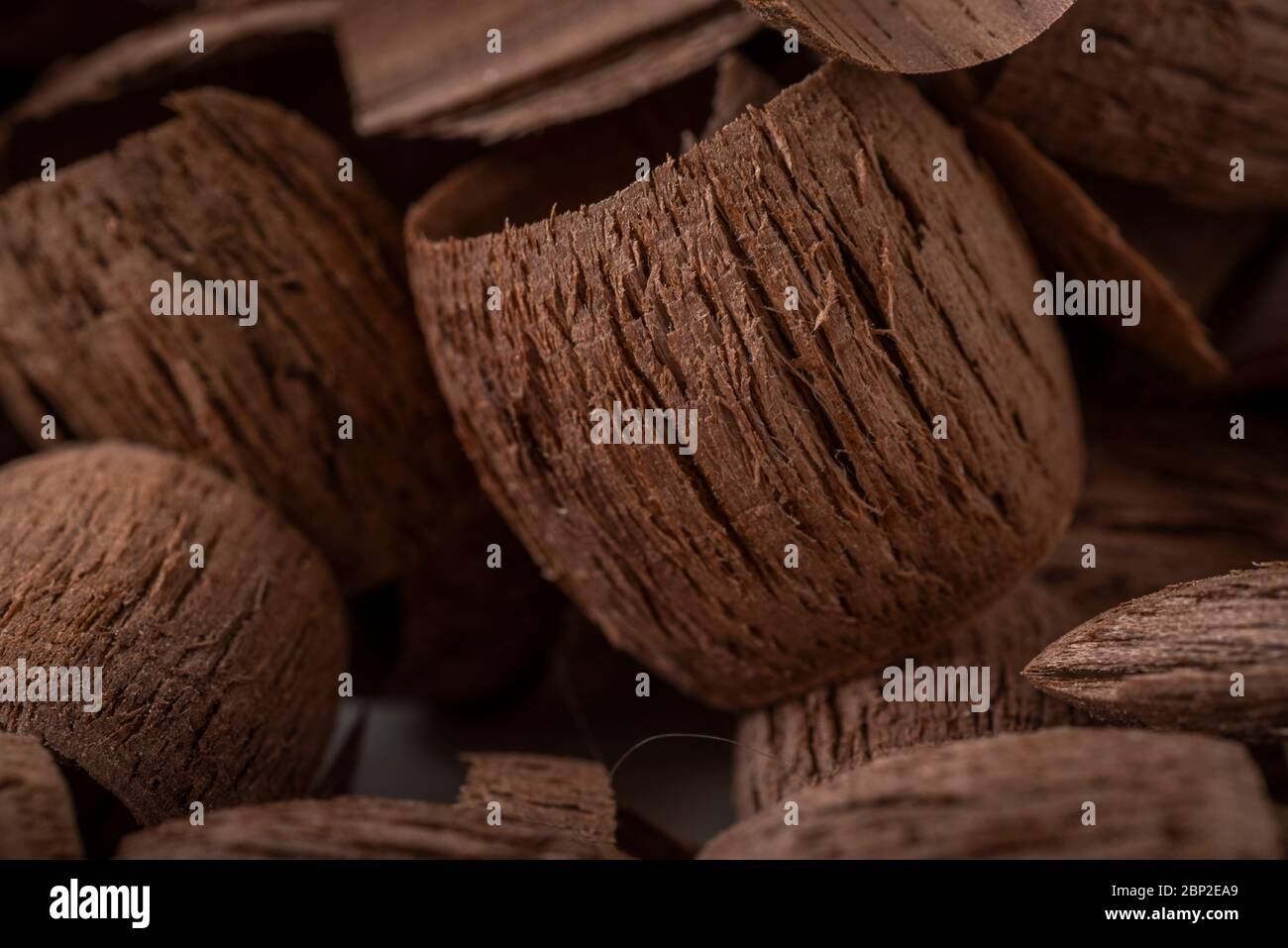 A collection of walnut wood shavings from carving, photographed in a ...