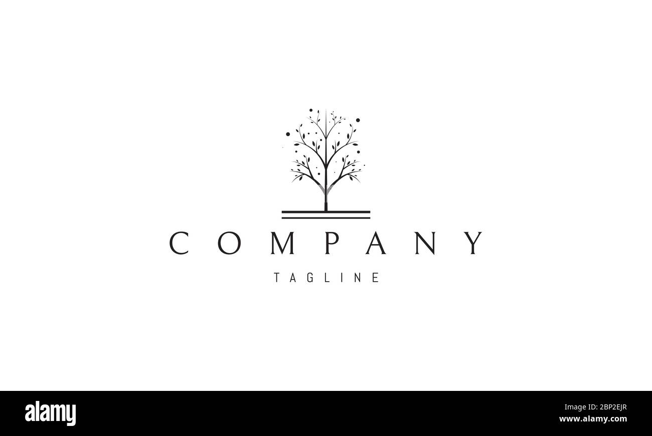 Branching growth Cut Out Stock Images & Pictures - Alamy