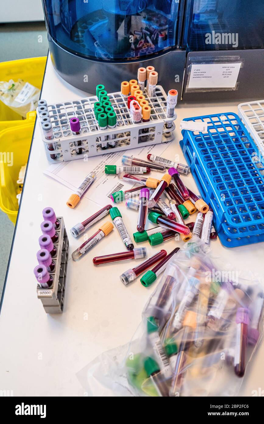 Blood samples in a medical laboratory Stock Photo - Alamy