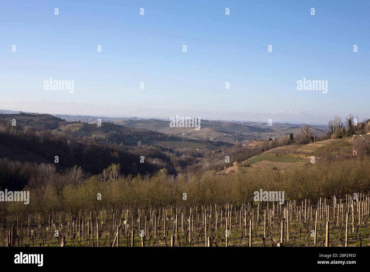 Italy, panorama of Langhe vineyards: hills from the surroundings of ...