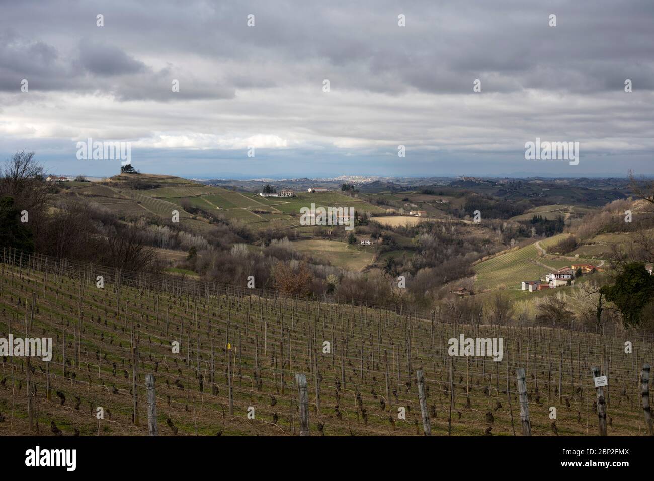 Italy, panorama of Langhe vineyards: hills from the surroundings of ...