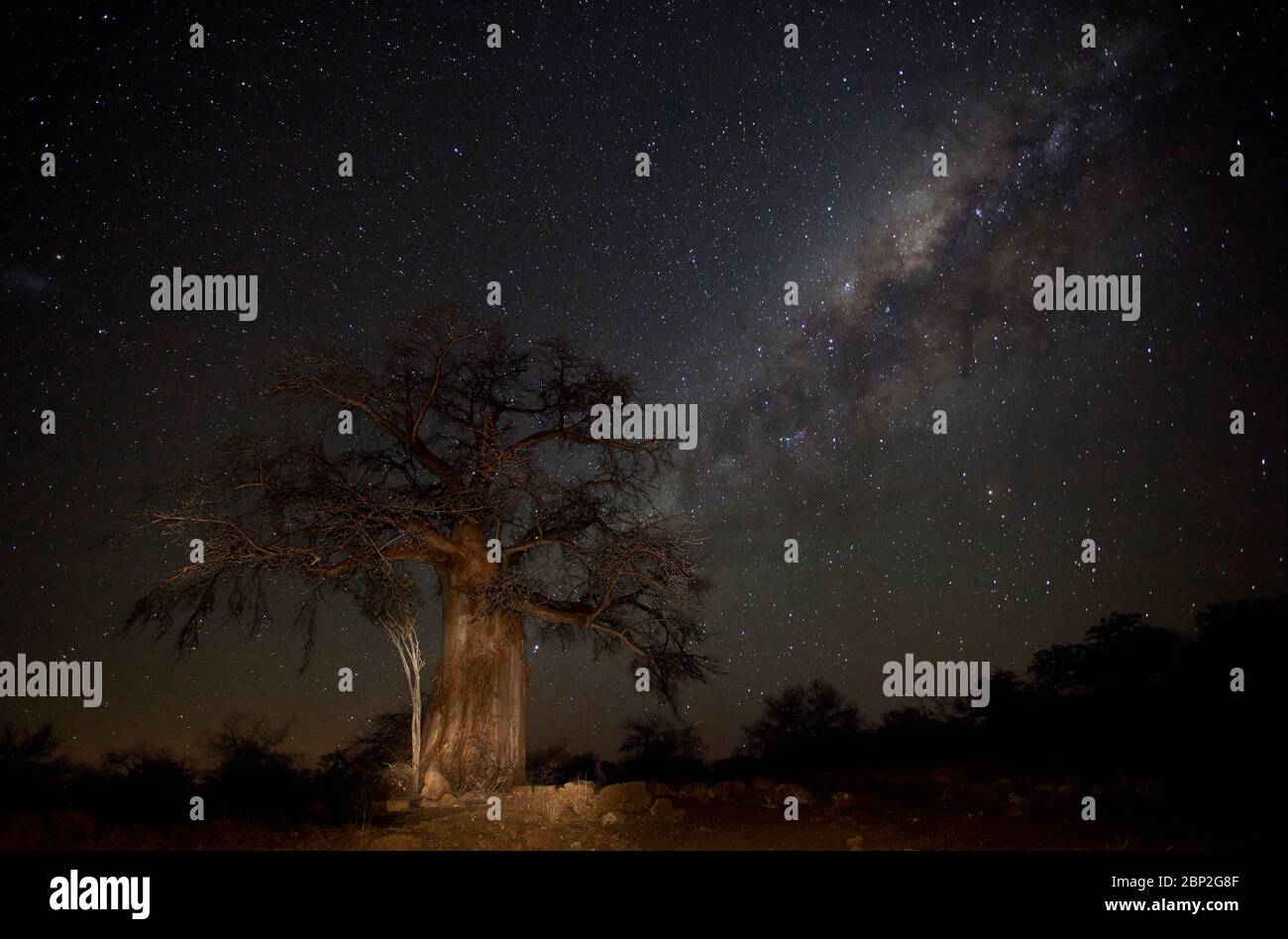 nightscape landscape, milky way Stock Photo - Alamy