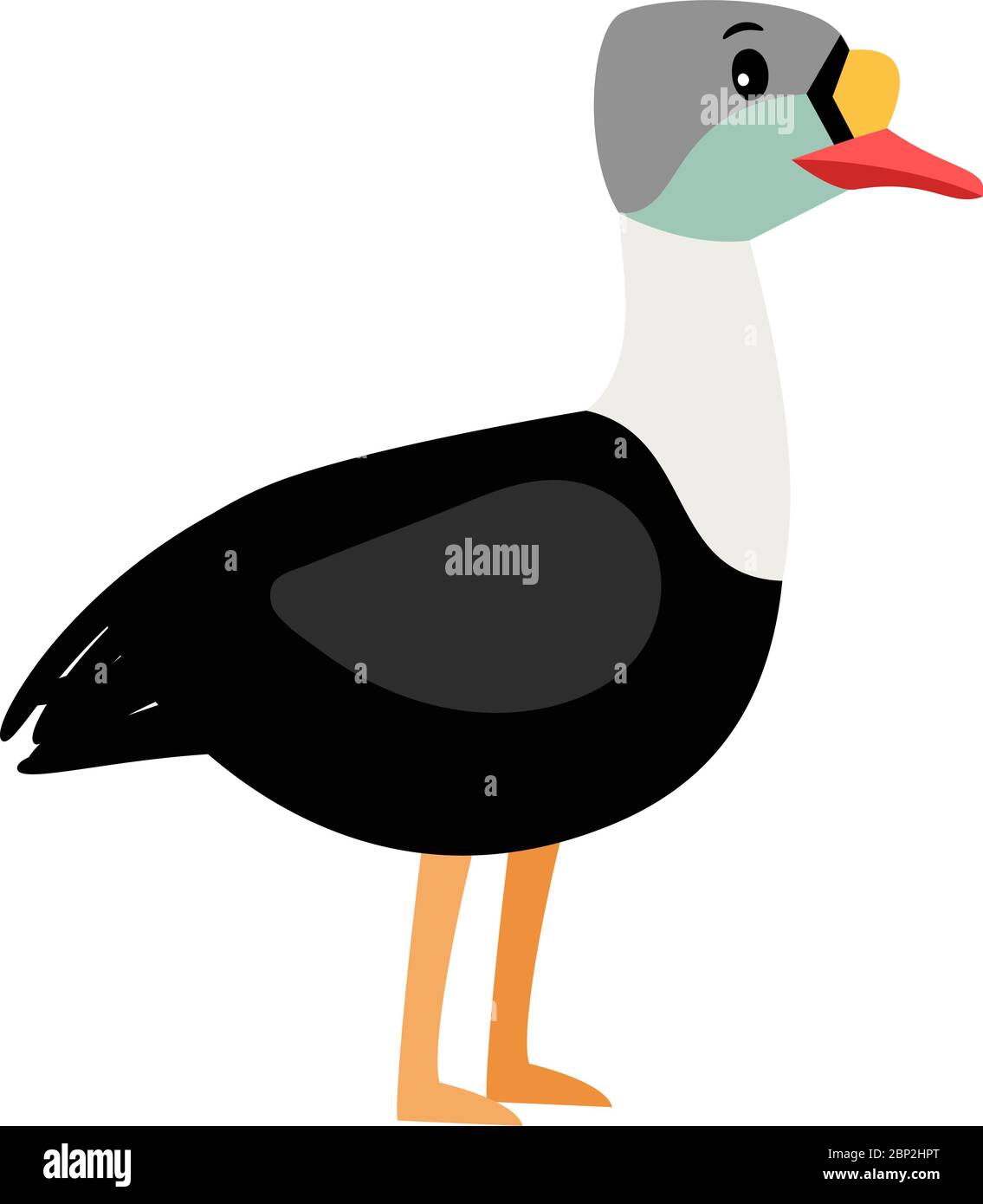 Eider cute cartoon bird icon isolated on white background, vector ...