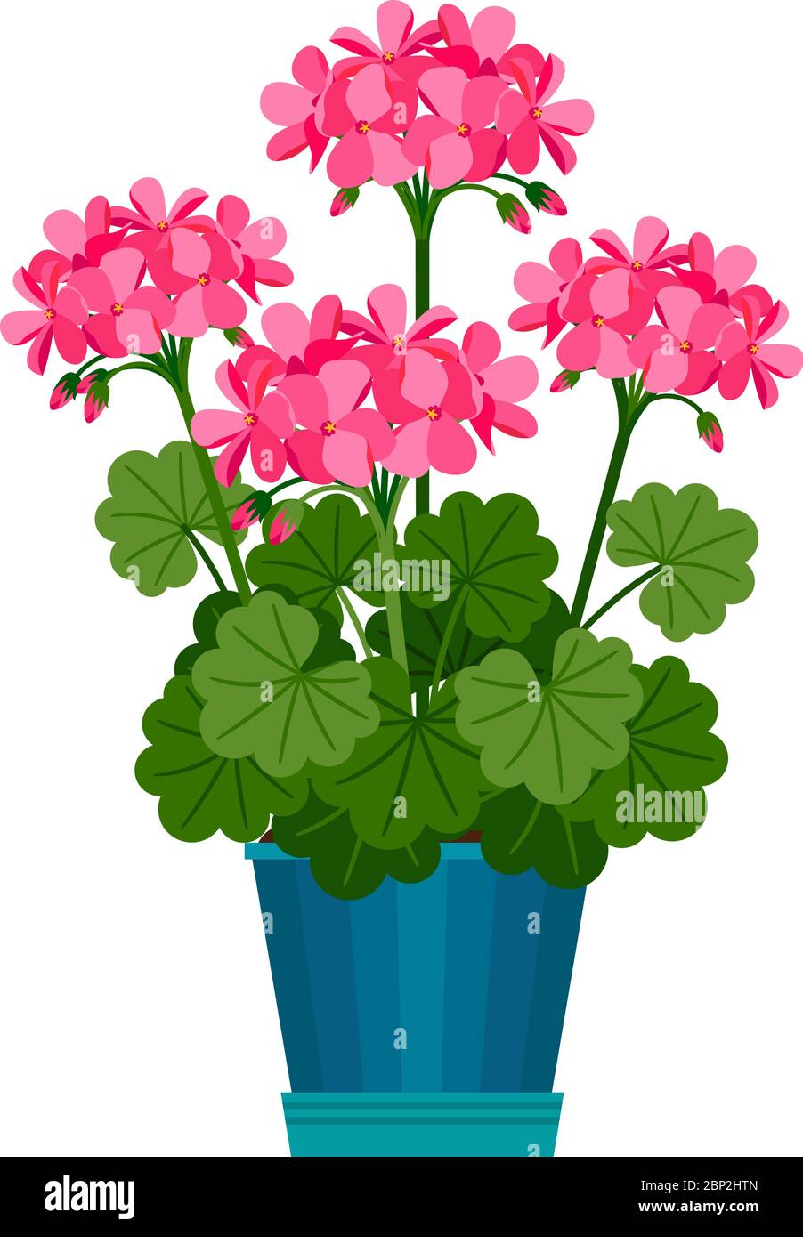 Geranium houseplant in flower pot. Vector icon on white background ...