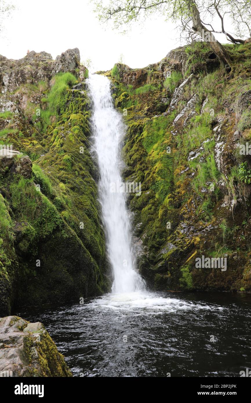 Linhope spout waterfall hi-res stock photography and images - Alamy