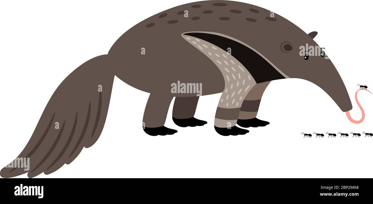 Ant eater tongue hi-res stock photography and images - Alamy