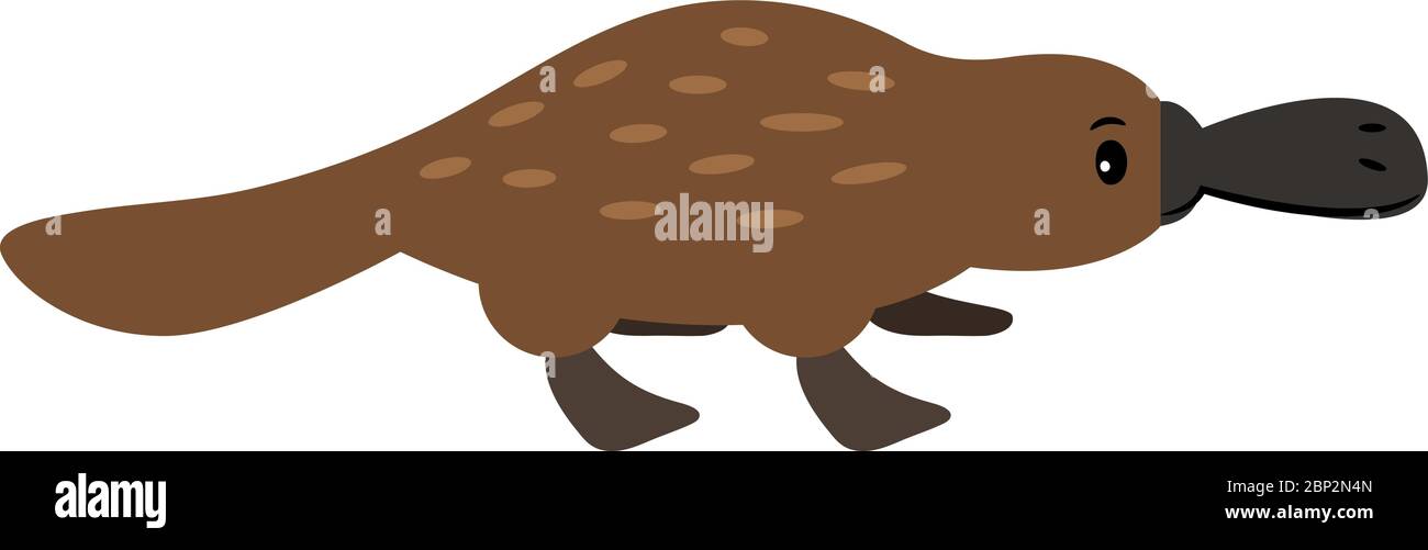 Duckbill australian cute cartoon animal icon on white background ...
