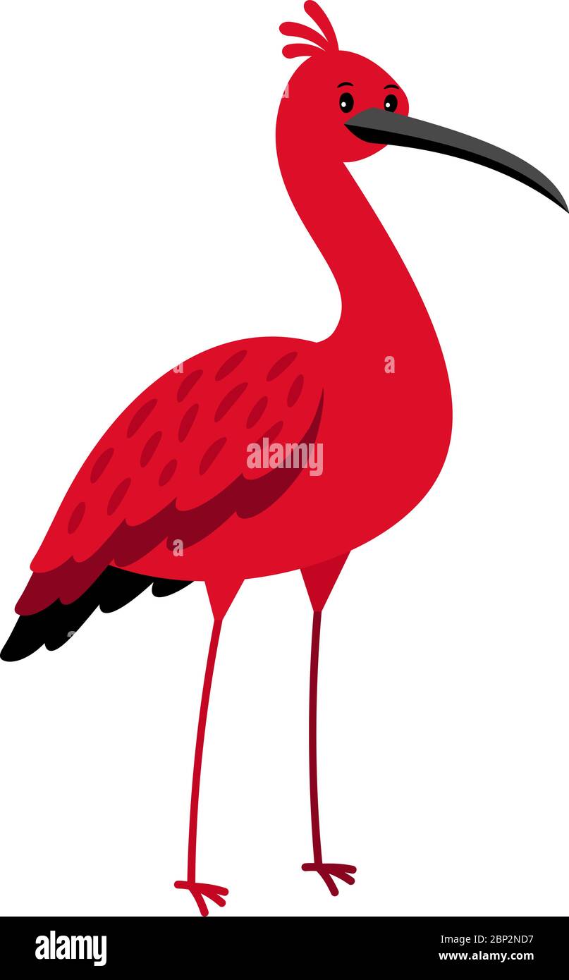 Ibis red bird cartoon icon isolated on white background, vector ...