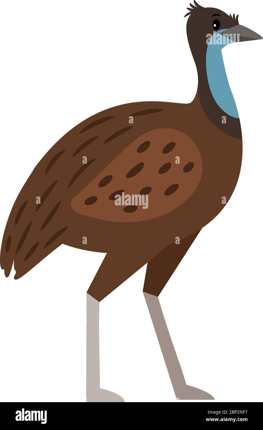 Emu cartoon bird icon isolated on white background, vector illustration ...