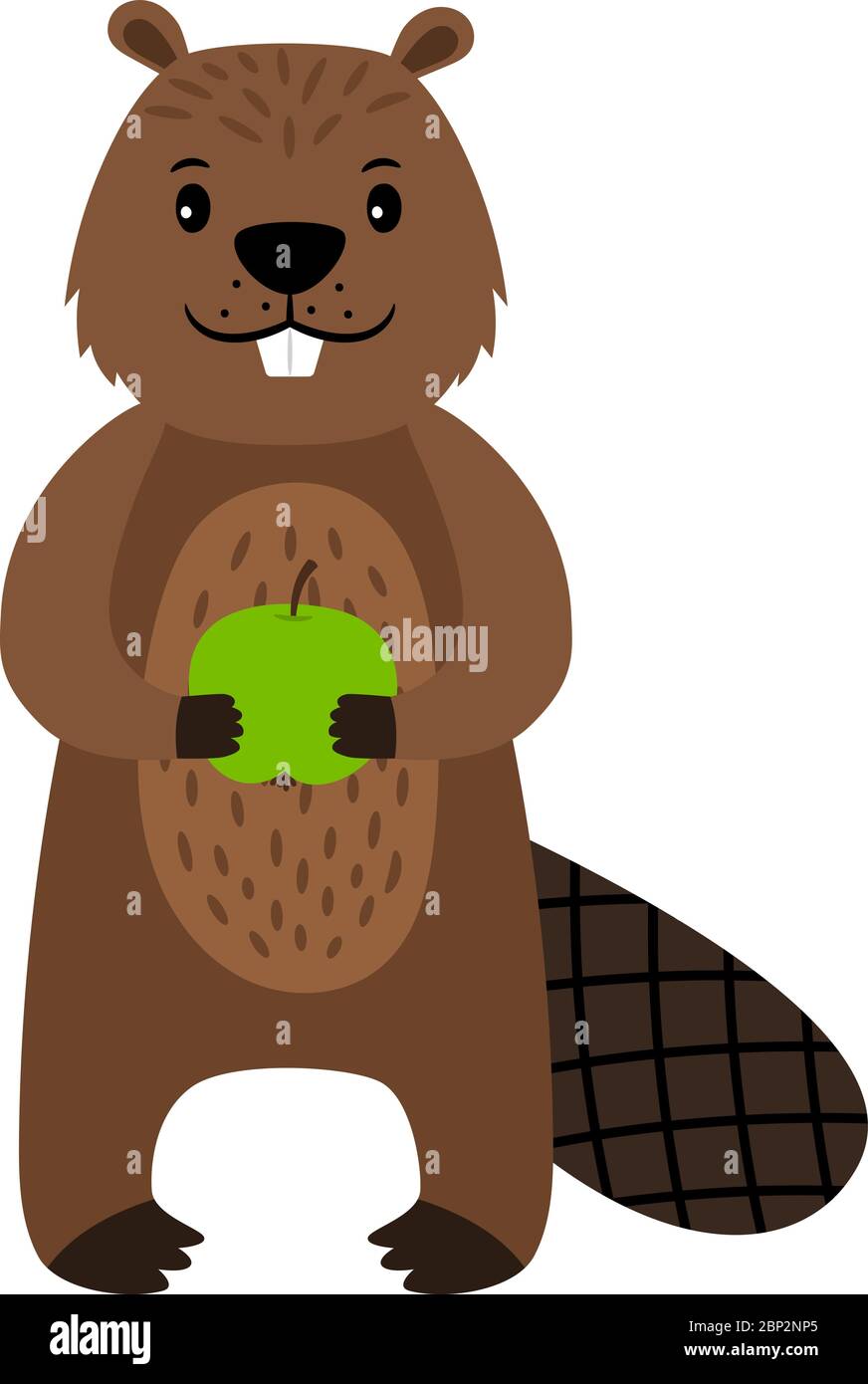 Beaver. Vector cartoon beaver character isolated on white background ...