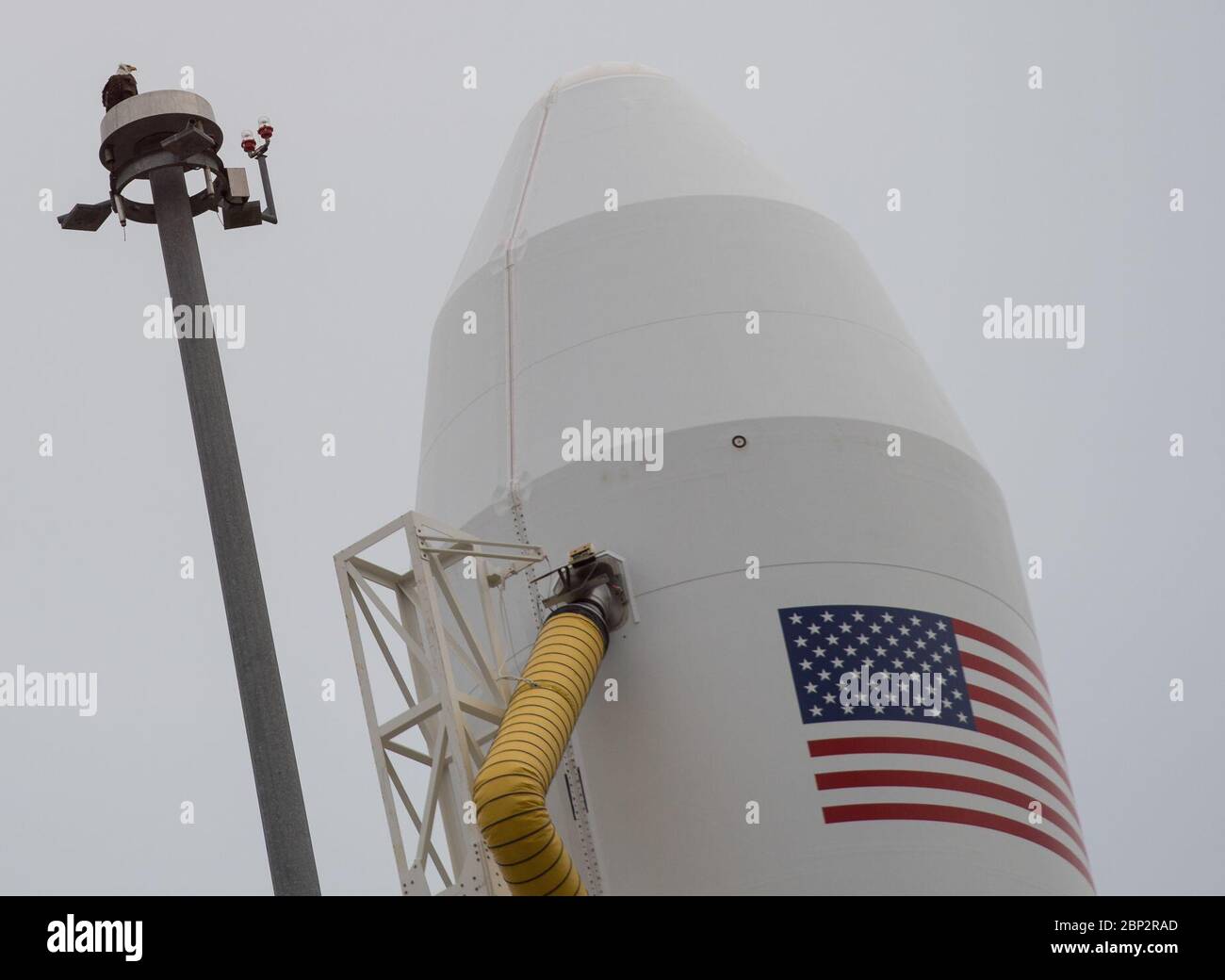 A bald eagle perches on a lightning tower near the Northrop Grumman ...