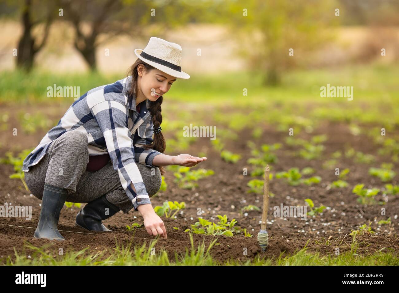 farmer planting seeds Stock Photo - Alamy
