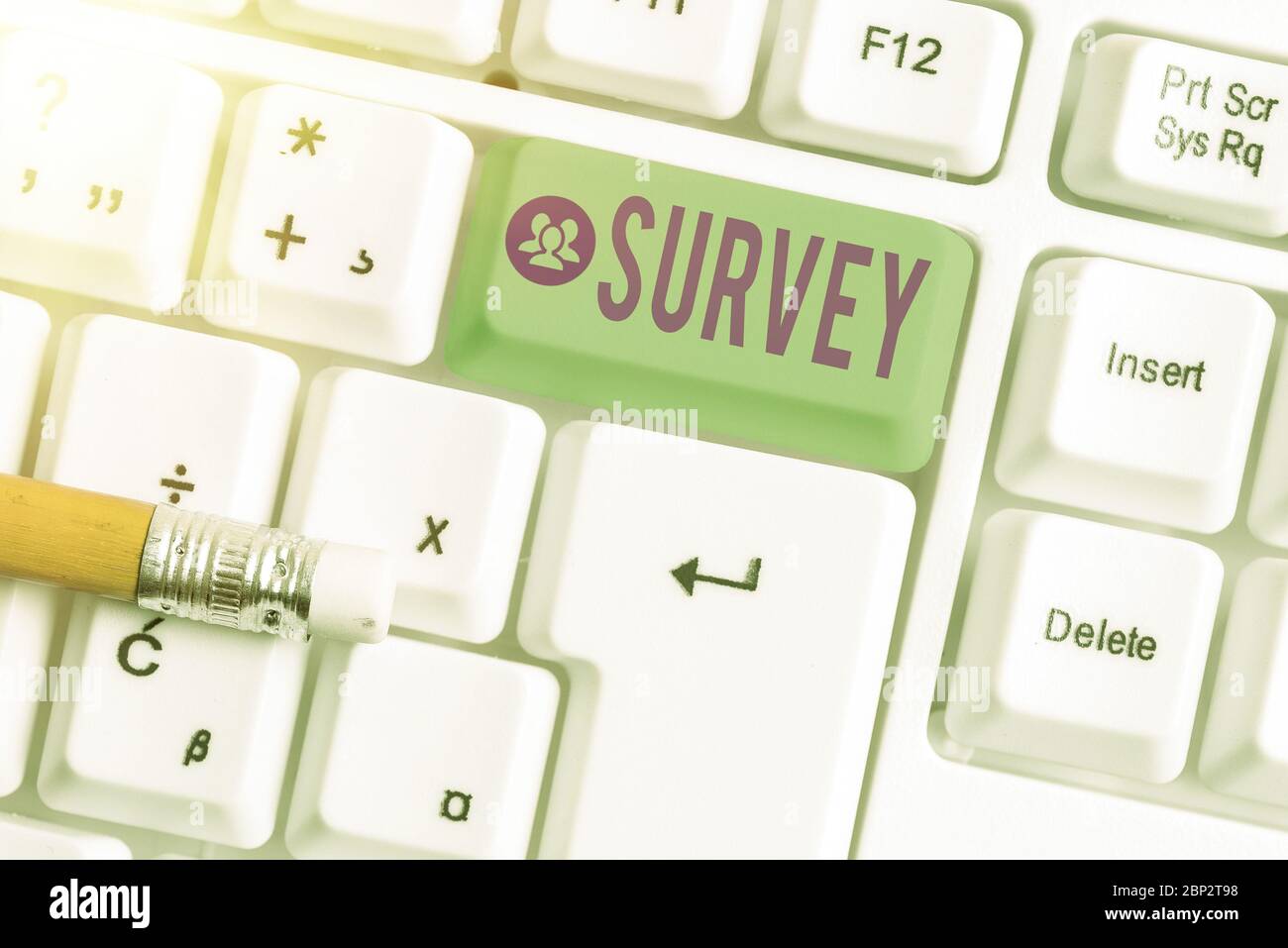 Text sign showing Survey. Business photo showcasing look closely at or ...