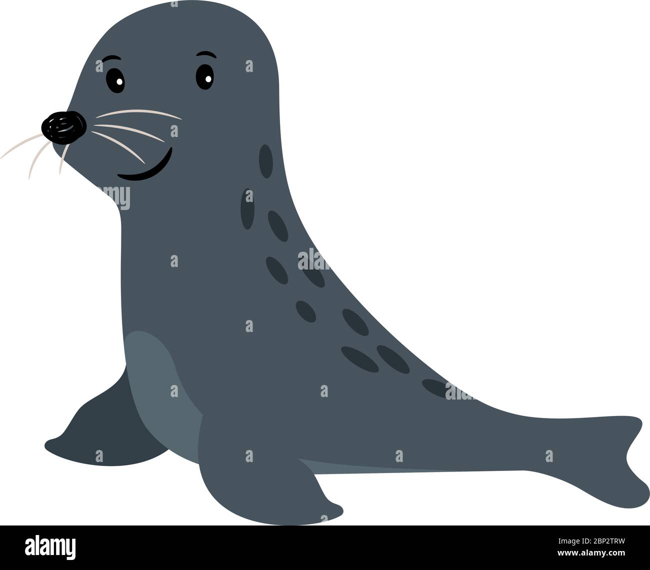 Seal cute sea animal icon isolated on white, vector illustration Stock ...