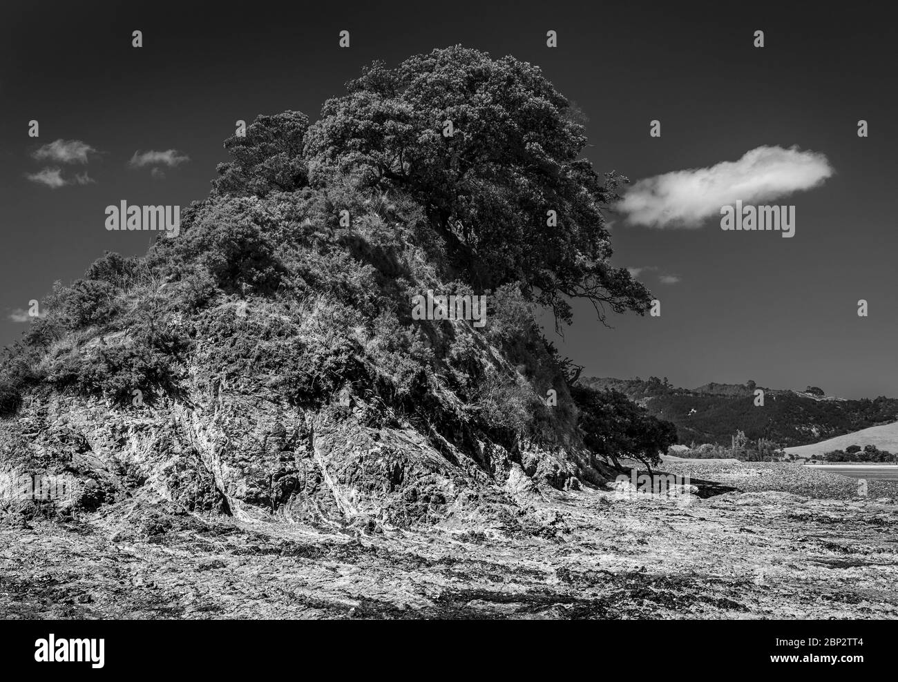Whitford new zealand hi-res stock photography and images - Alamy