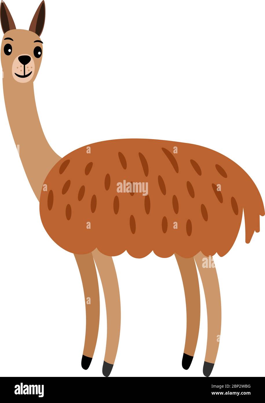 Vicuna cute cartoon animal icon on white background, vector ...