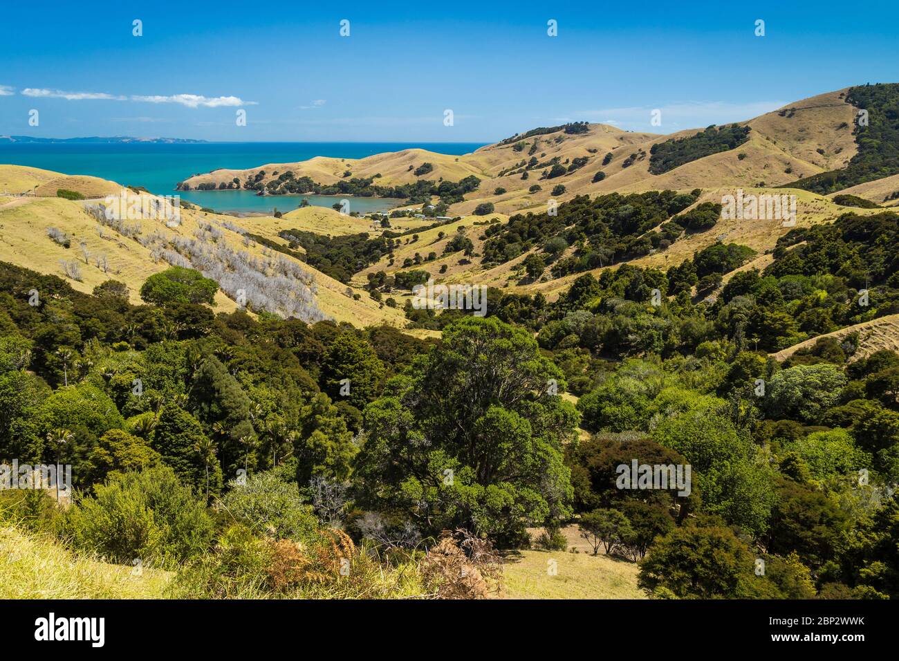 Firth of thames hi-res stock photography and images - Alamy