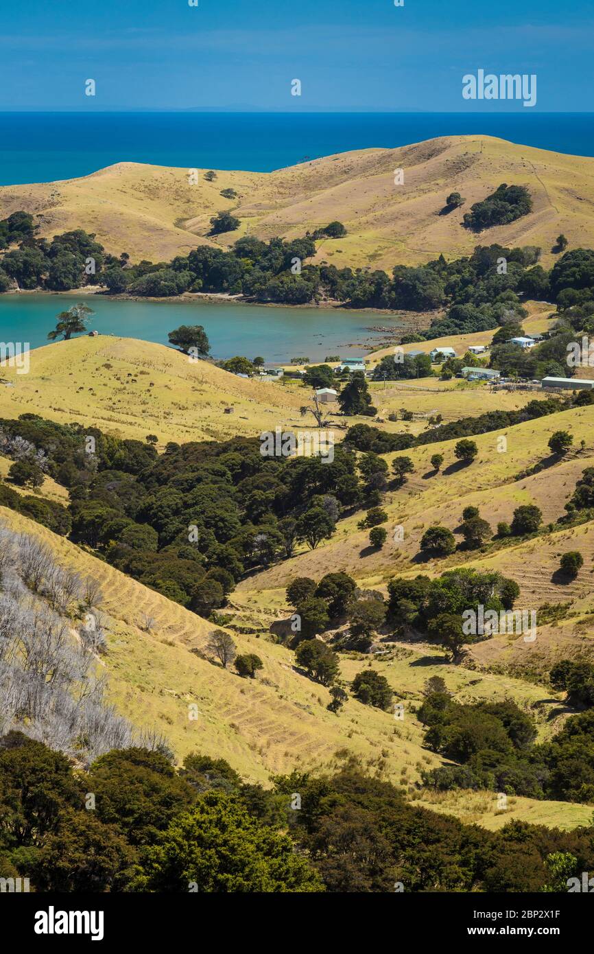 Thames new zealand hi-res stock photography and images - Alamy