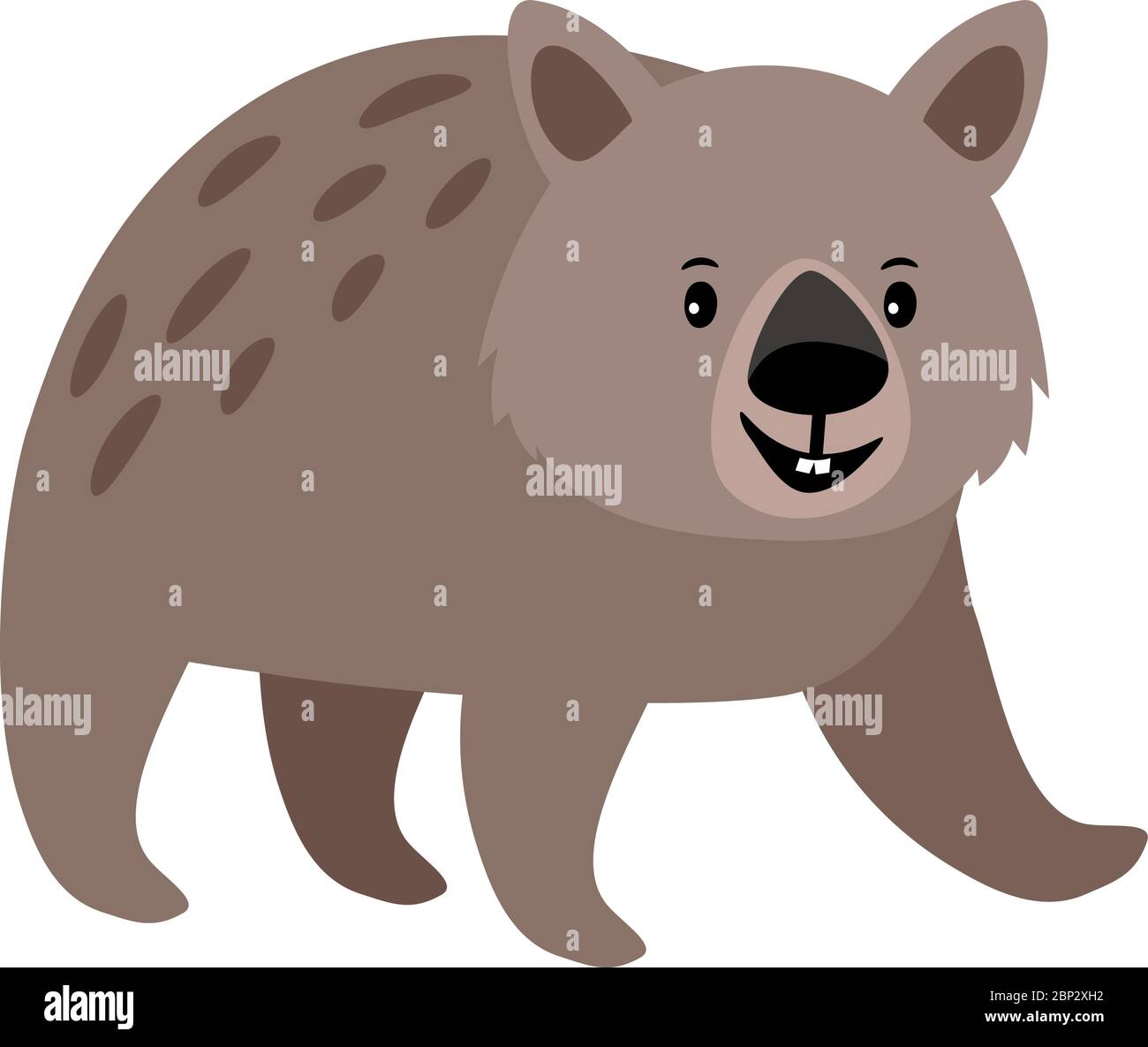 Wombat cute grey spotted animal icon isolated on white background Stock ...