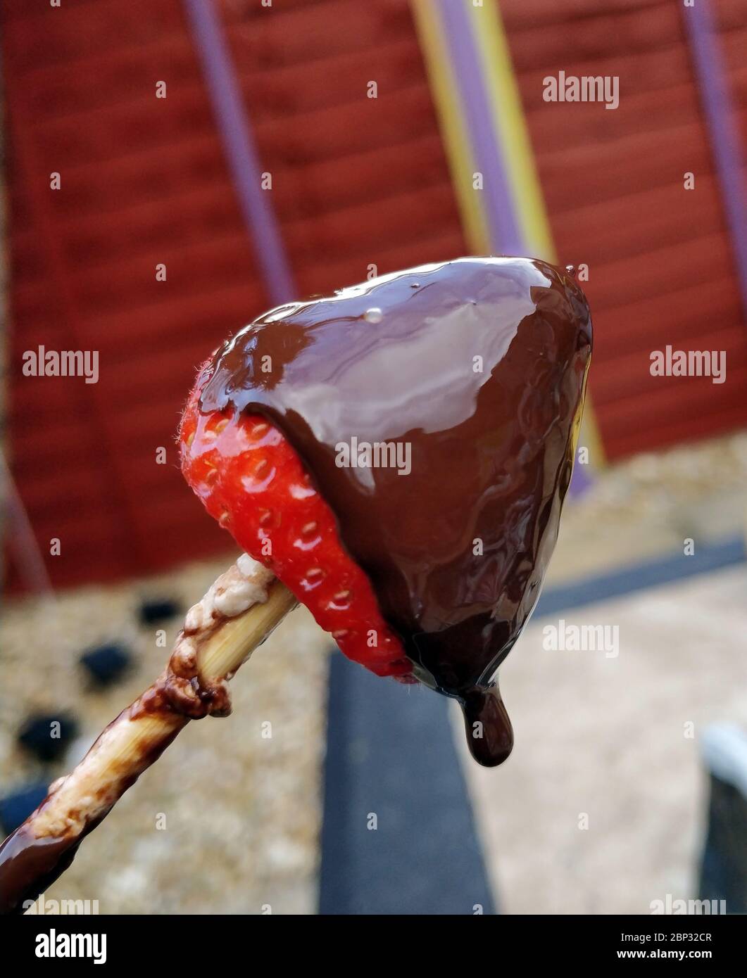 strawberry cover on chocolate in the stick Stock Photo - Alamy