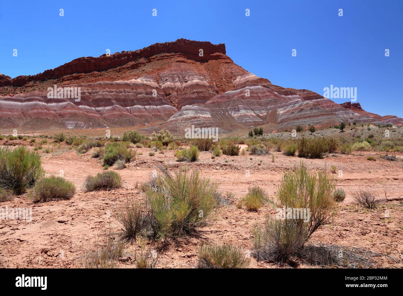 Colorful red colors of the badlands landscape at Paria River Canyon ...