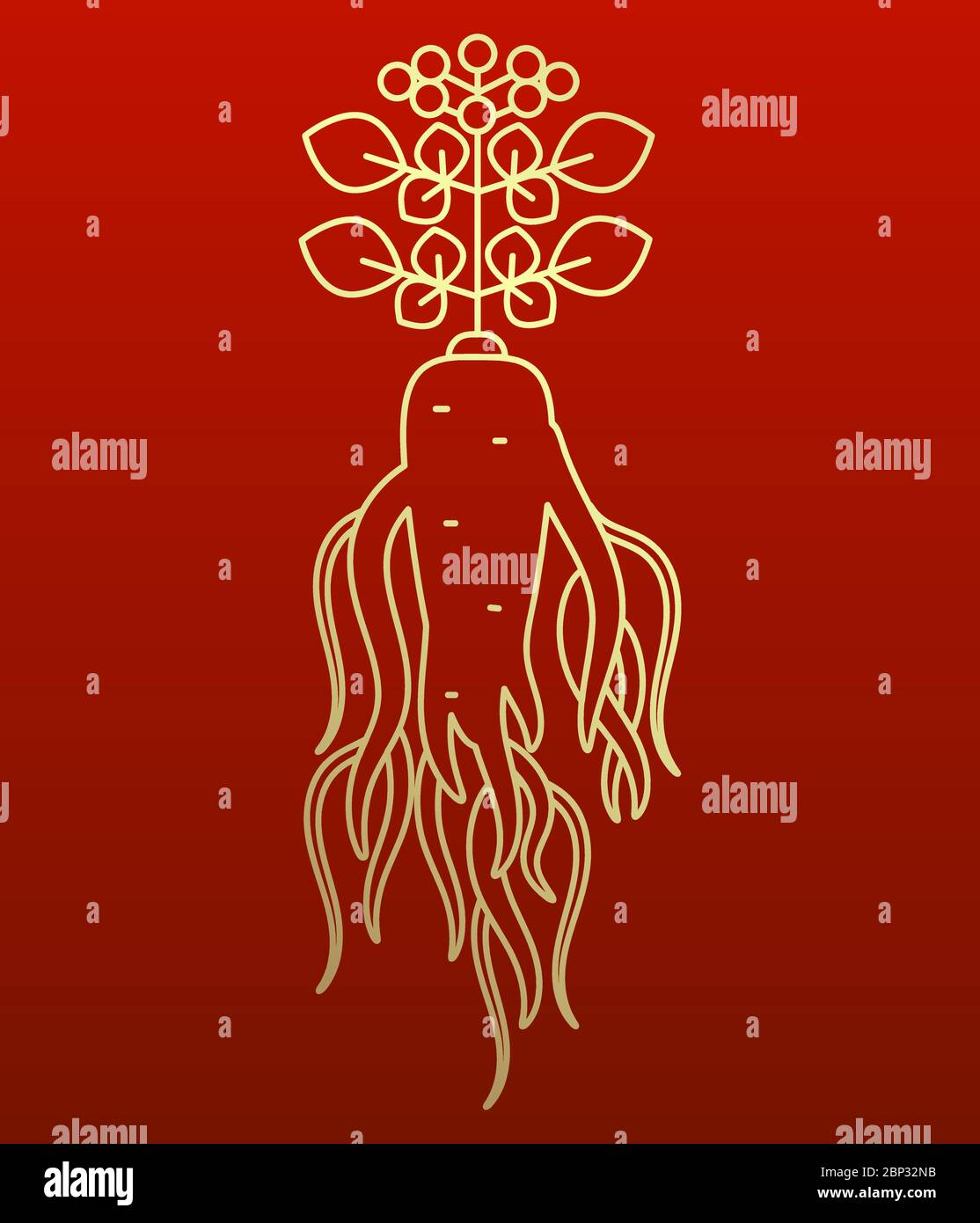 Red Korean Or Chinese Ginseng Root Logo. Silhouette Style Symbols On ...
