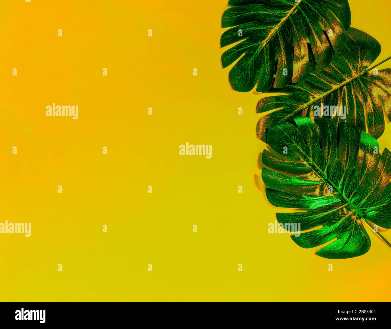 Tropical leaves of palm tree on gradient of orange background. Concept ...