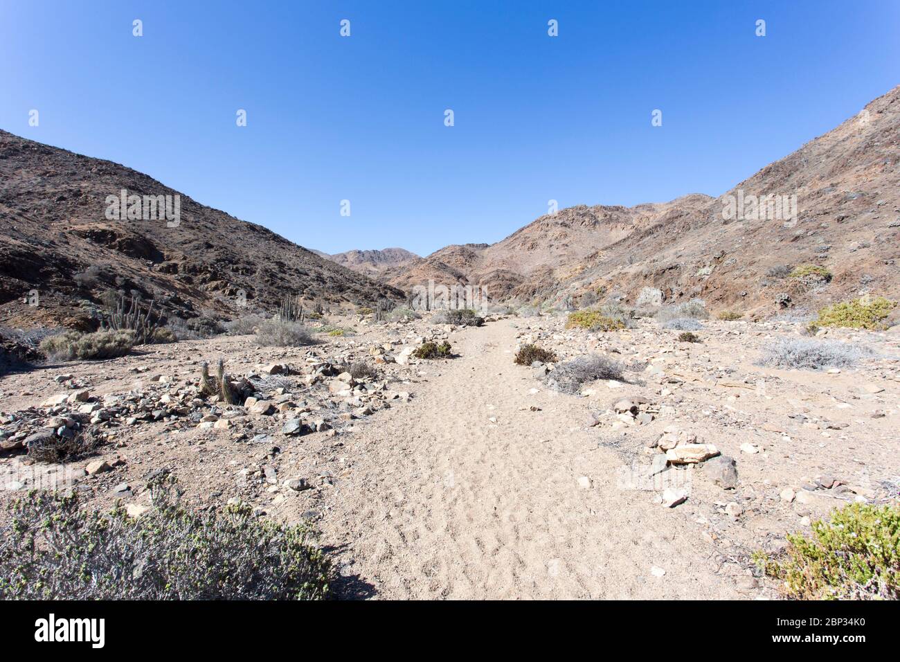 Parque nacional pan de azúcar hi-res stock photography and images - Alamy