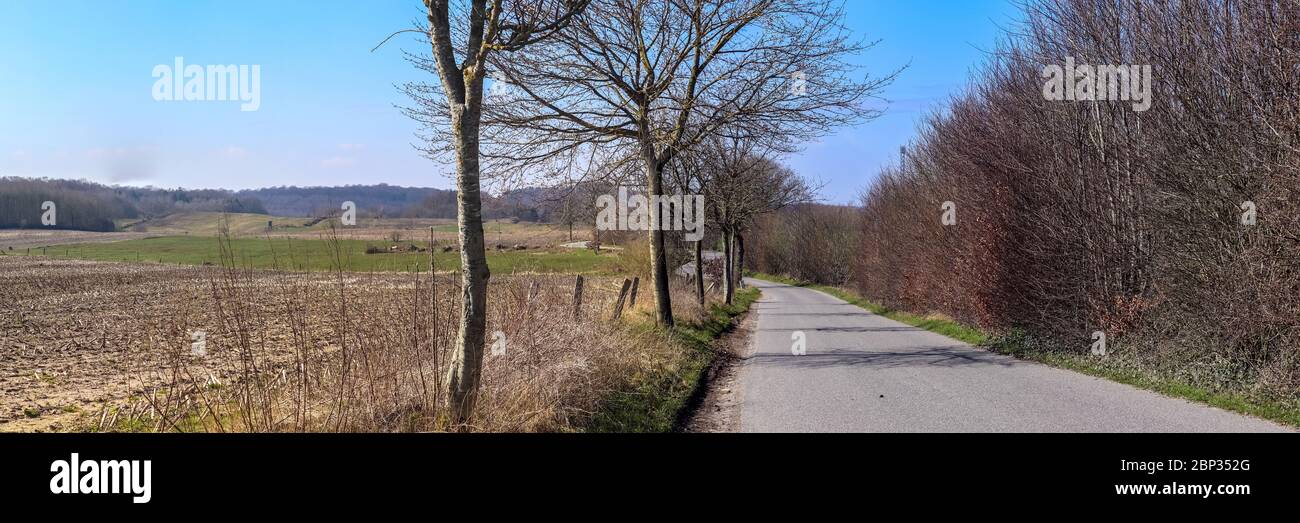 Beautiful panorama of a northern european country landscape with fields ...